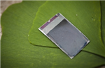 Artificial Leaf Makes Fuel from Sunlight -- Environmental Protection