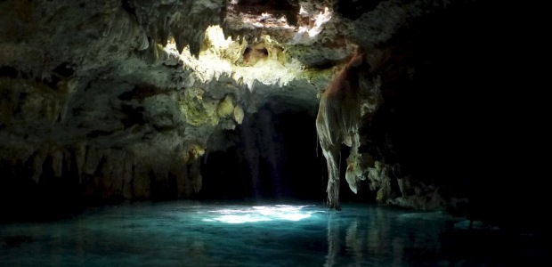 Researching the Key to Survival for Mammals of the Yucatan ...