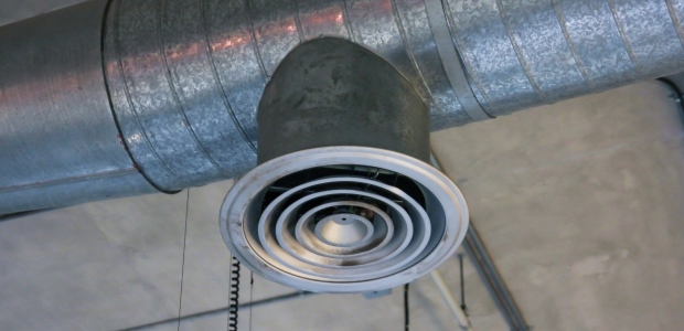 Environmental Probiotics: Creating Healthy Indoor Workspaces ...