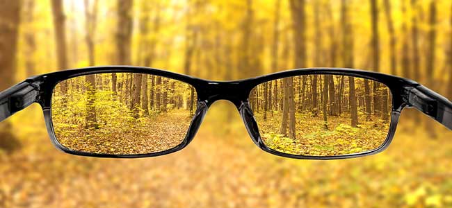 Seeing the Forest for the Trees -- Occupational Health & Safety