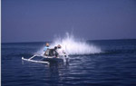 Stopping Blast Fishing Costs Less than Rebuilding Reefs, Study Says ...